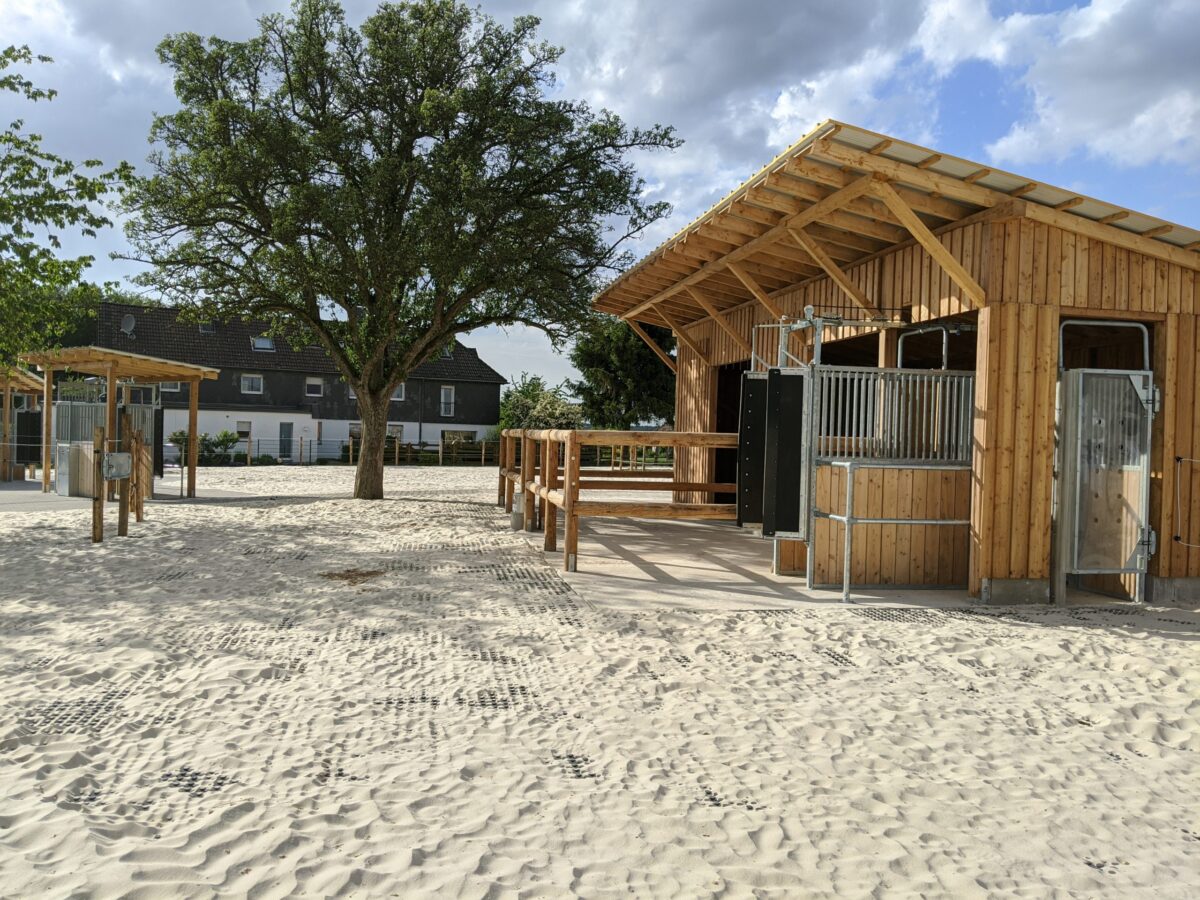 Boden für Aktivstall, Offenstall und Paddock - stresan® Kirchhellener Sand